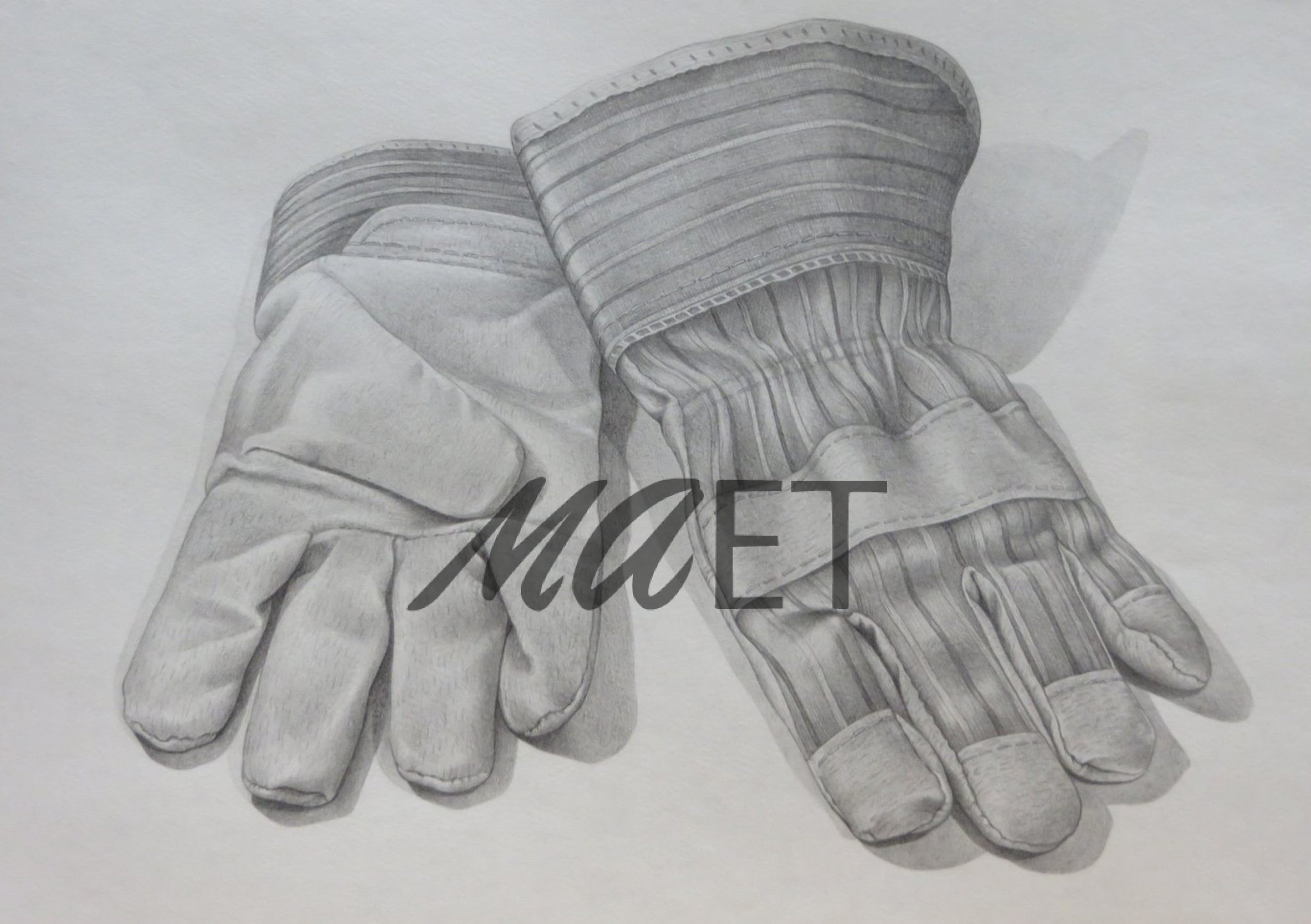 Postgraduate Programme in Medical Art - Medical Artists' Education Trust